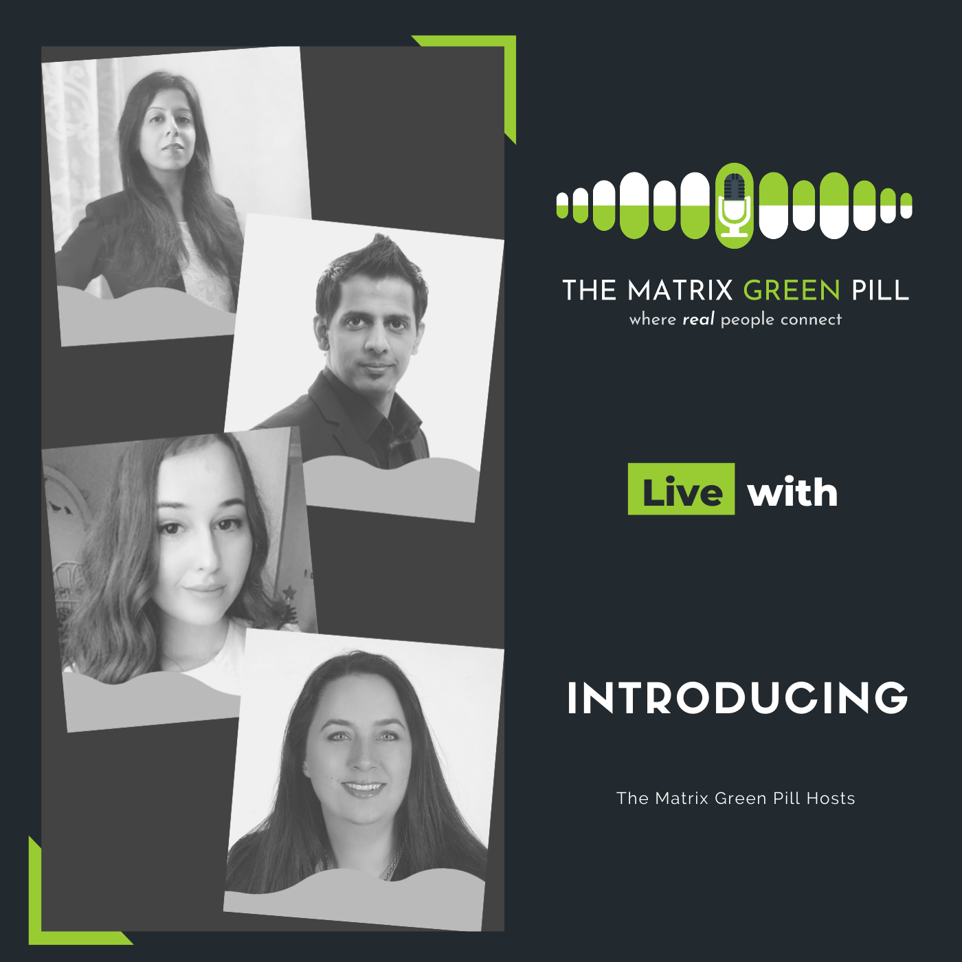 Introducing... - The Matrix Green Pill Podcast